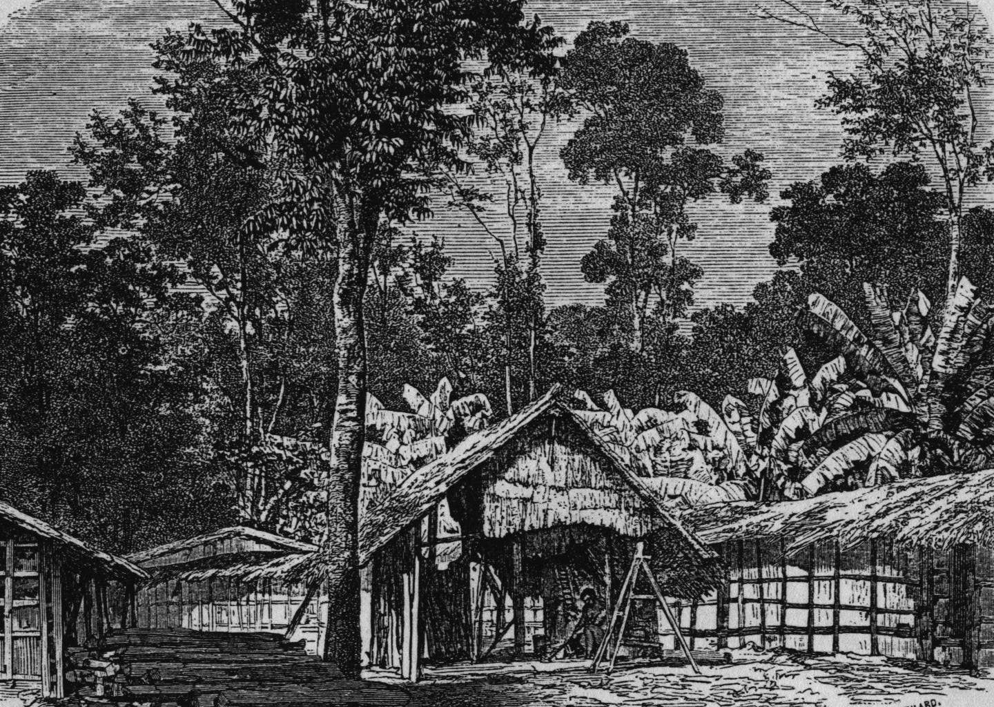 Généalogie des Ngwè – Myènè – Gabon & nous