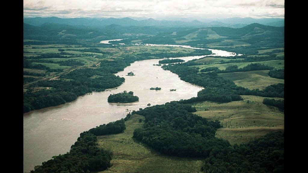 La diversité biologique des poissons au fleuve Ogooué – Gabon & nous